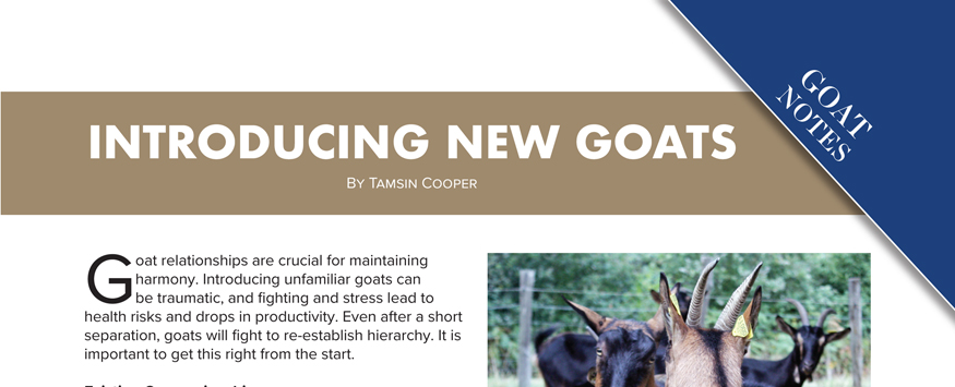 Introducing New Goats - Goat Journal